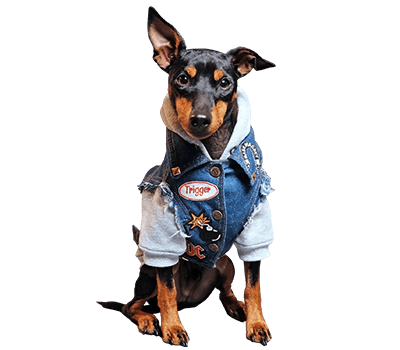 Customize Dog Patches Online From $0.21 | 4inCustompatch®